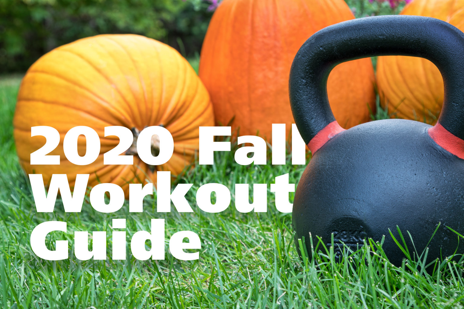 2020 Fall Workout Guide | LECOM Medical Fitness & Wellness Center